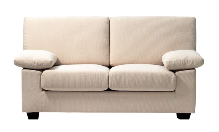 Small Sofas: Embracing Comfort and Versatility - Sofa Whisperer